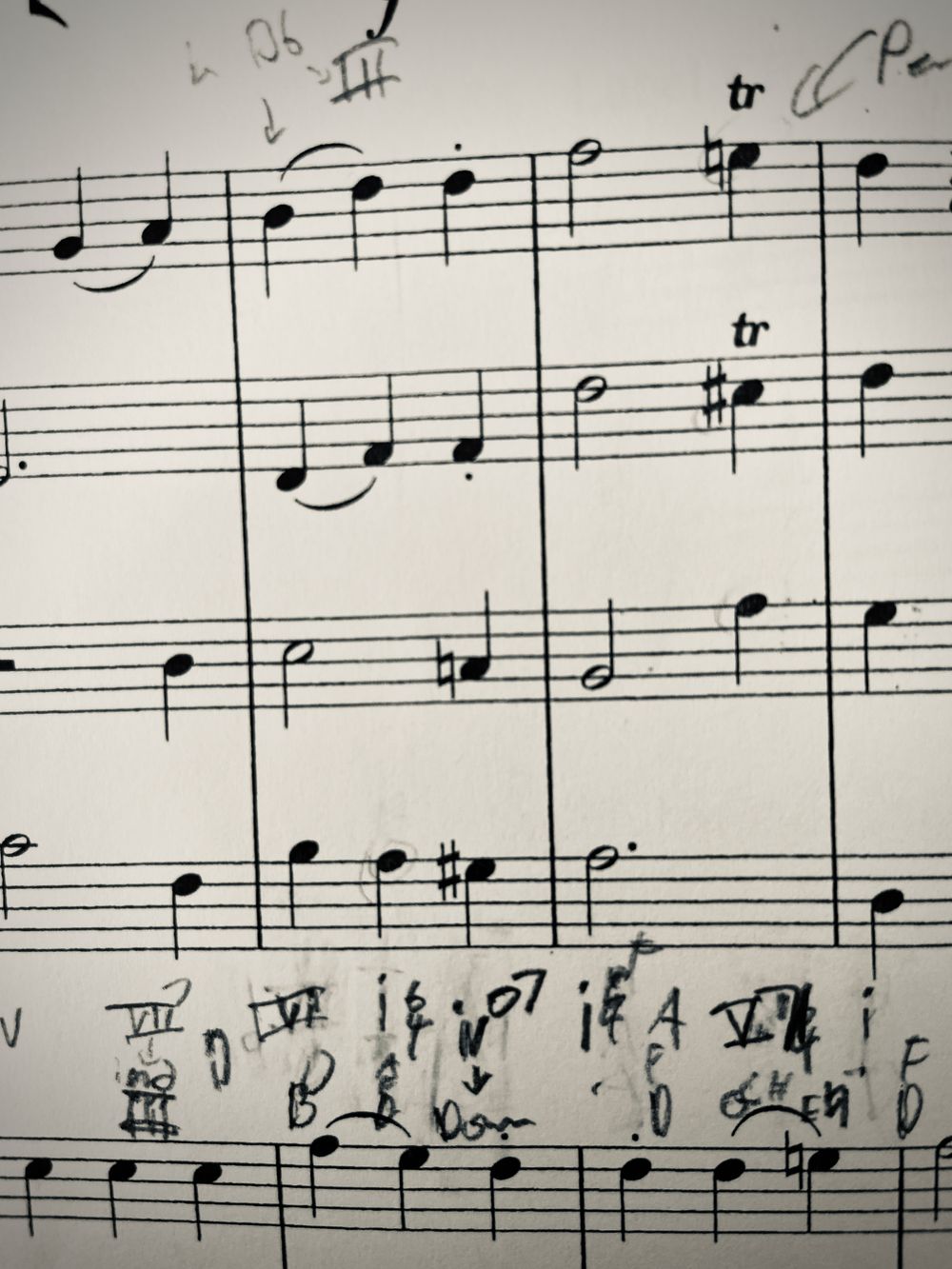 Is AP Music Theory Hard? - Gunno Studio